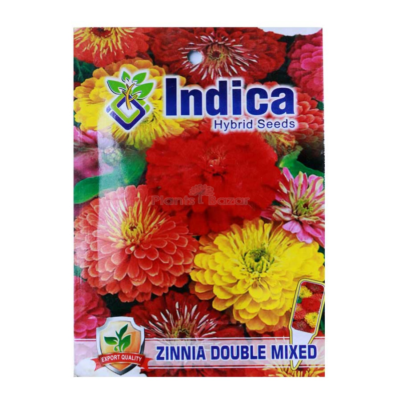 Buy Online Zinnia Mixed Double Flower Hybrid Seeds (pack of 5) @ Plants ...