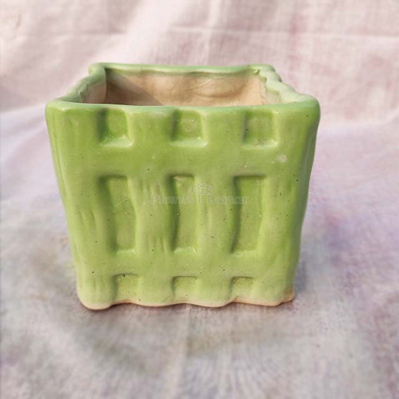 Square Shape Ceramic Planters